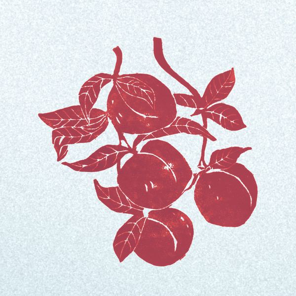 Hannah Lou Larsen - I'm Sorry | Amazing Radio