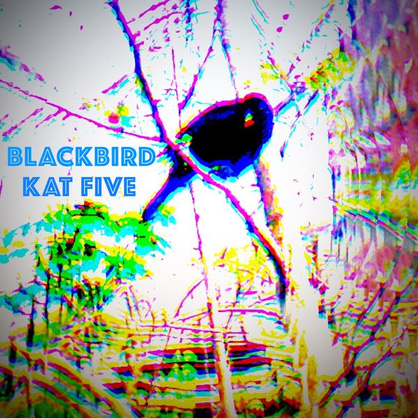 Kat Five - Blackbird | Amazing Radio