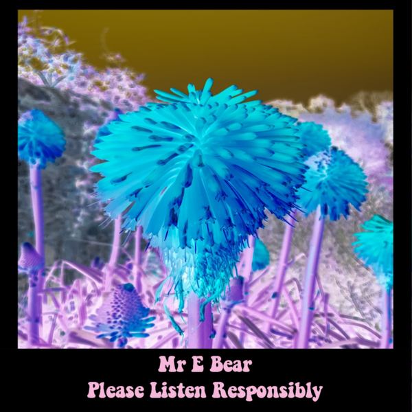 Mr E Bear - Perfect by Design | Amazing Radio