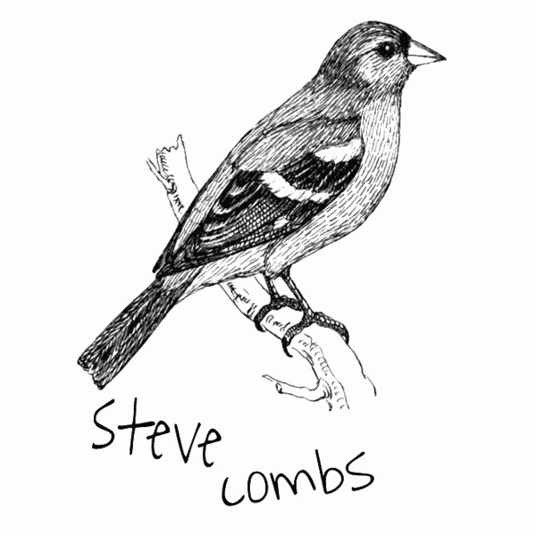 Steve Combs | Amazing Radio