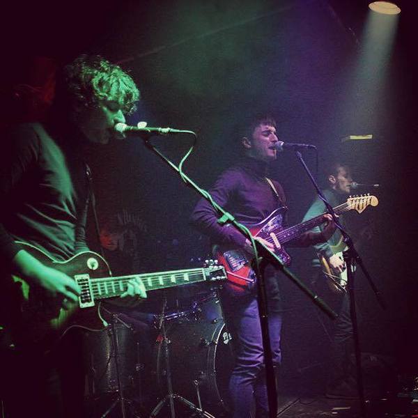 Moonlight Zoo | Amazing Radio