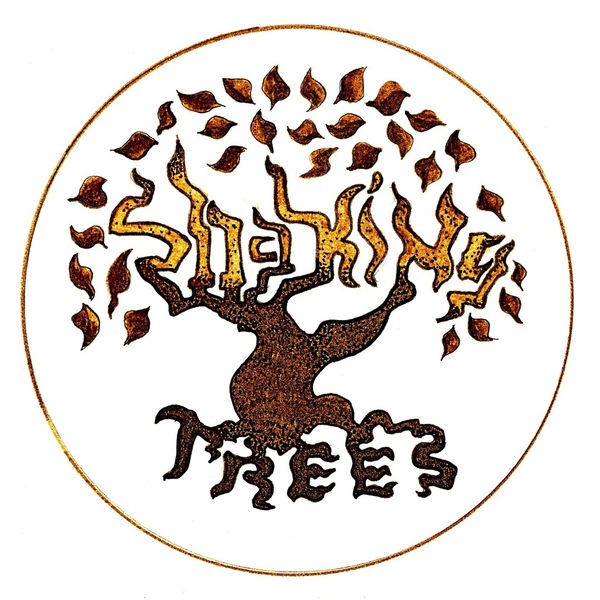 Shaking Trees | Amazing Radio USA