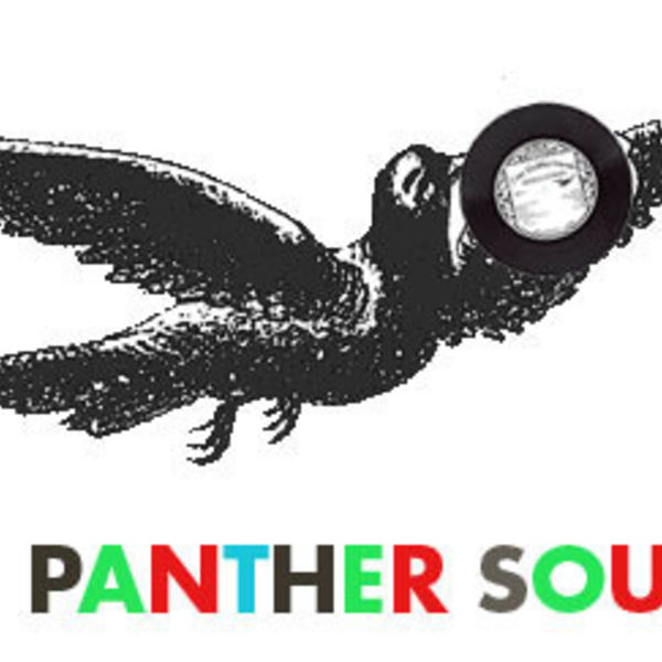 True Panther Sounds | Amazing Radio